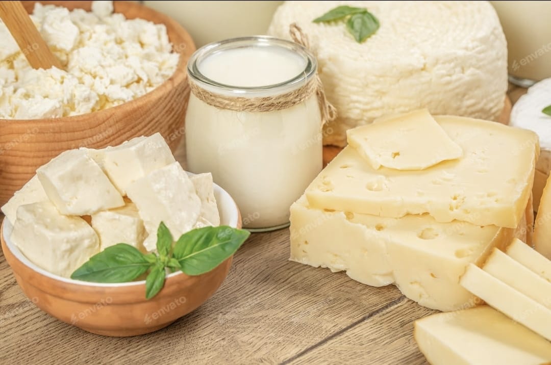 ¿Cómo los lácteos fermentados mejoran tu salud digestiva? - Istmo Panamá